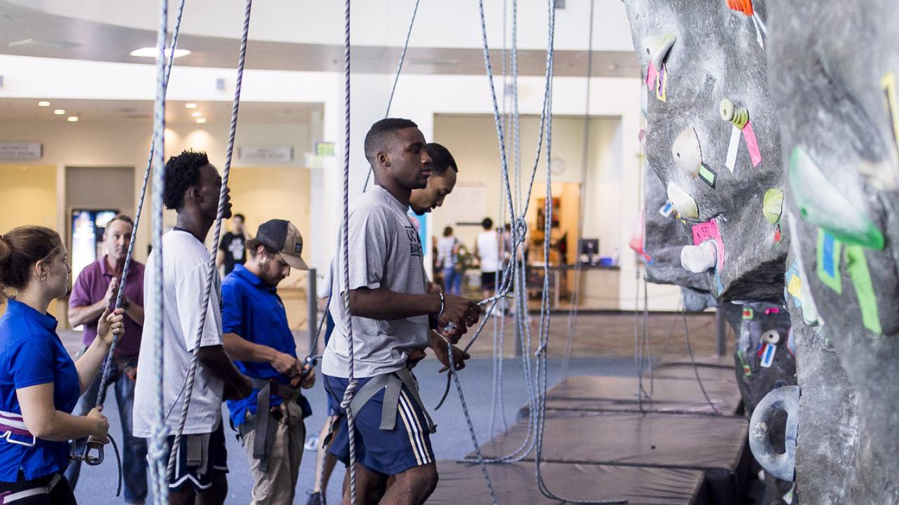 Rock Wall at the ARC | Campus Recreation